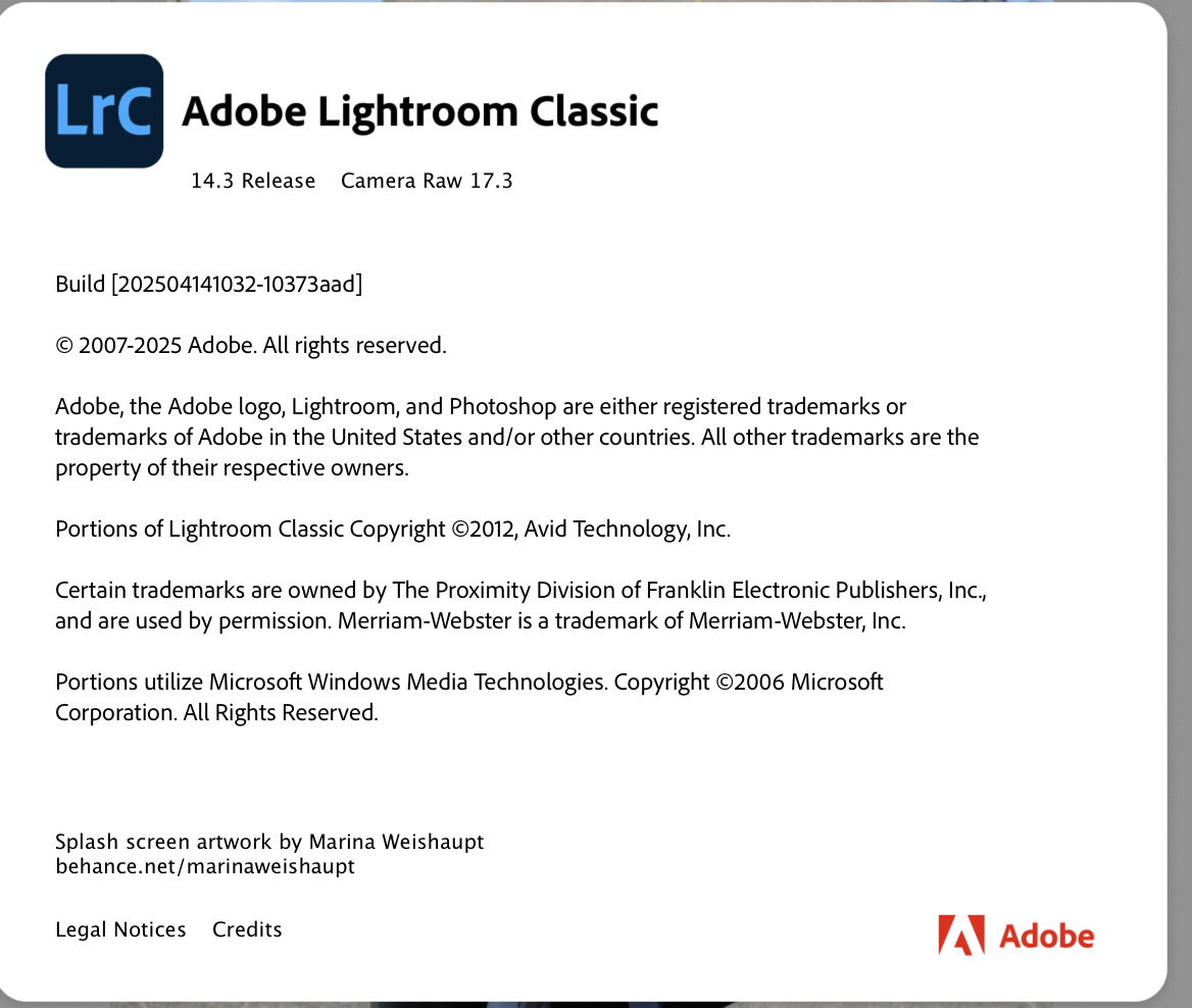 P: Error : "Some masking models are downloading. P... - Adobe Community ...