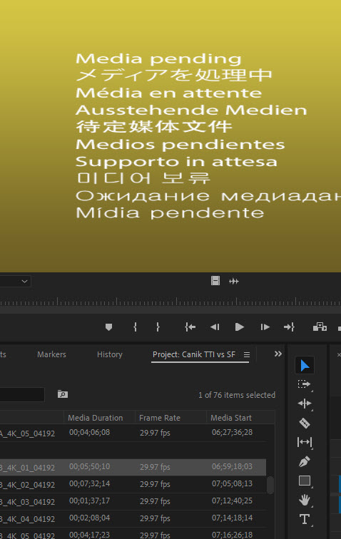 P: Frame substitution attempt aborting error - .MX... - Page 4 - Adobe ...