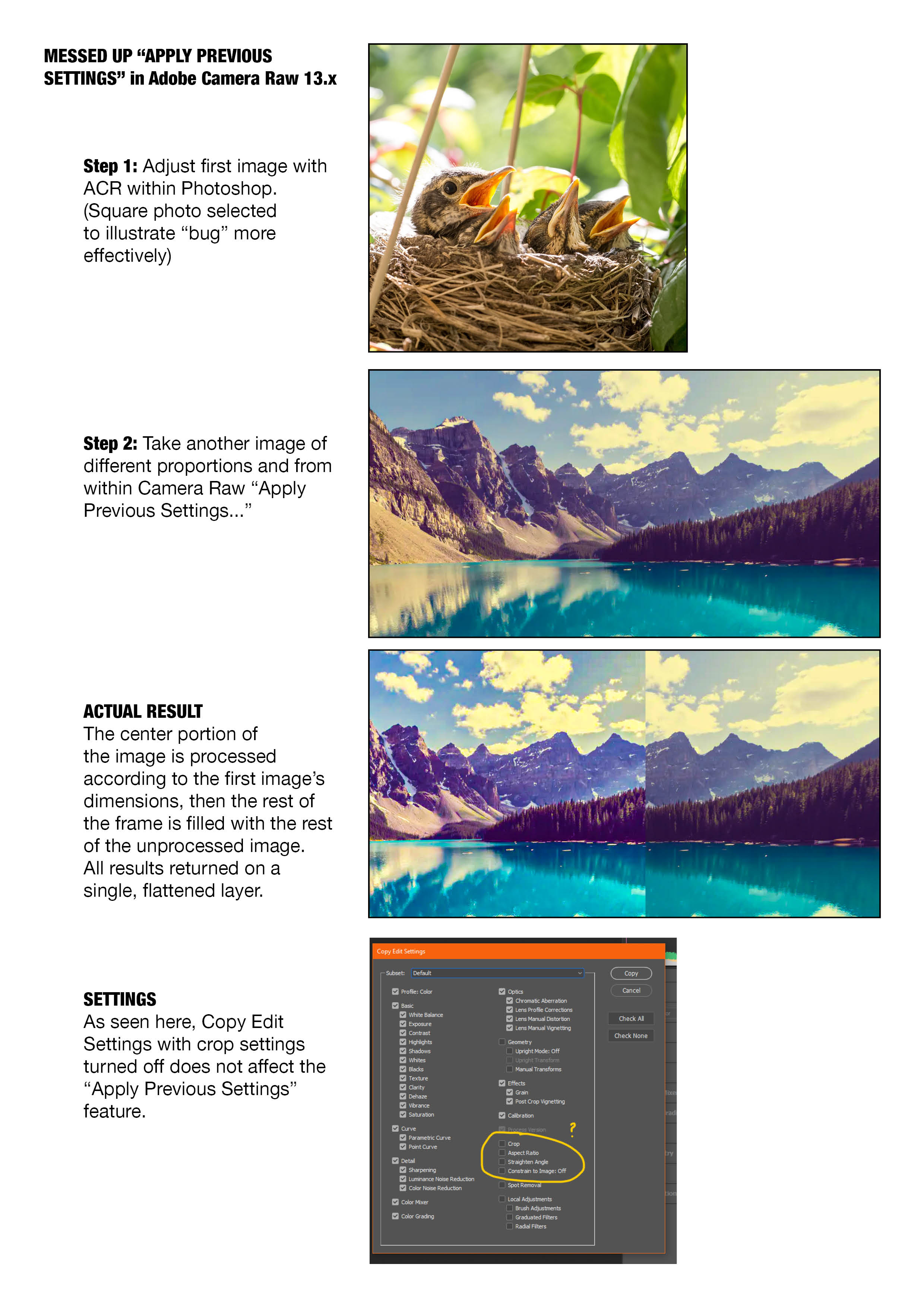Camera Raw 13.x messes up images with Apply Previo... - Adobe Support ...