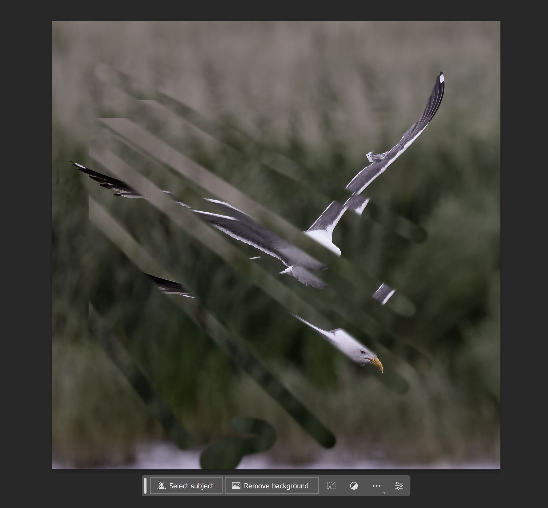 Menu Bug/Error with Drop-Down Menus in Photoshop 2... - Adobe Community ...