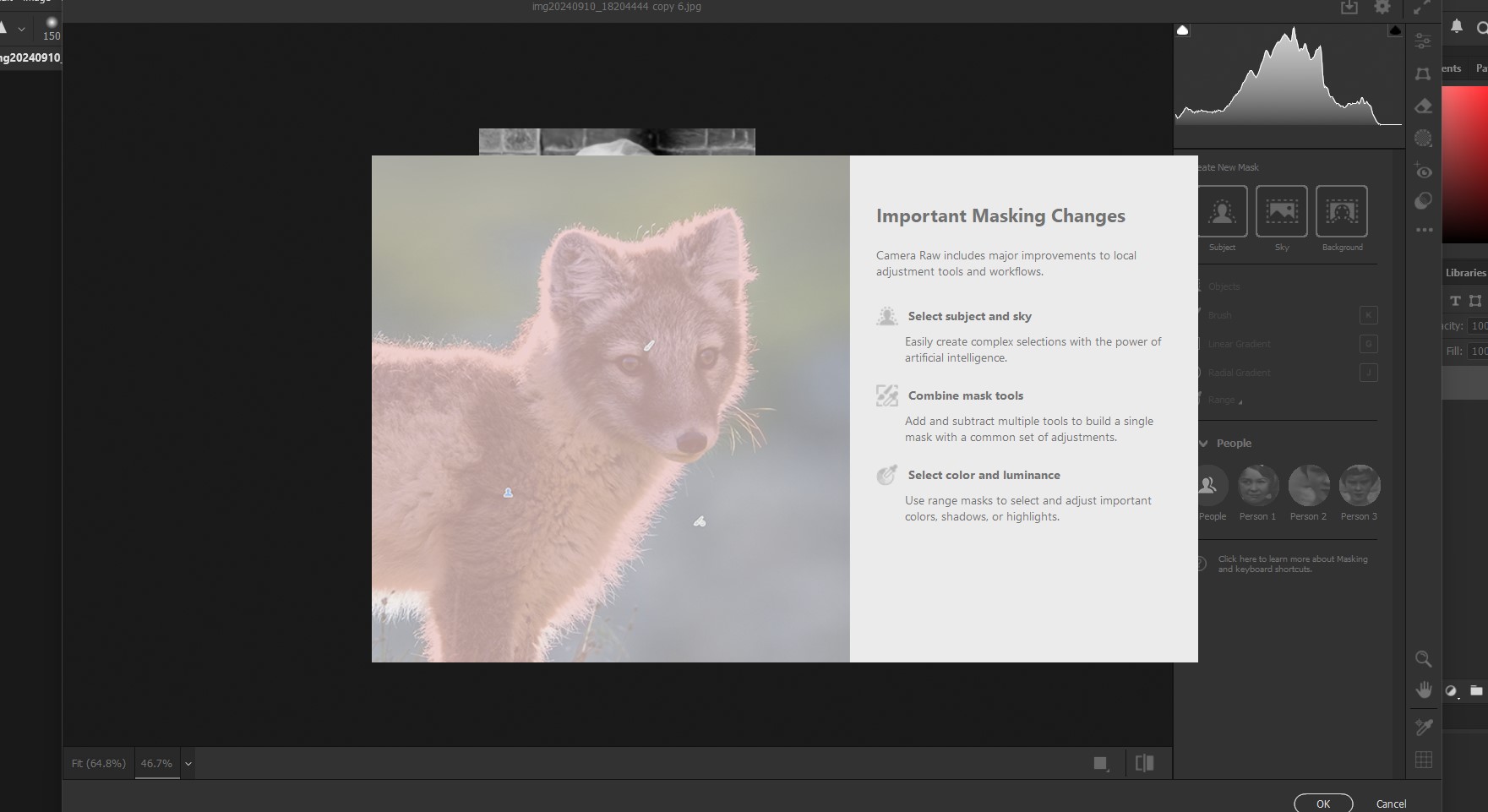 MASKING - Adobe Community - 14859778