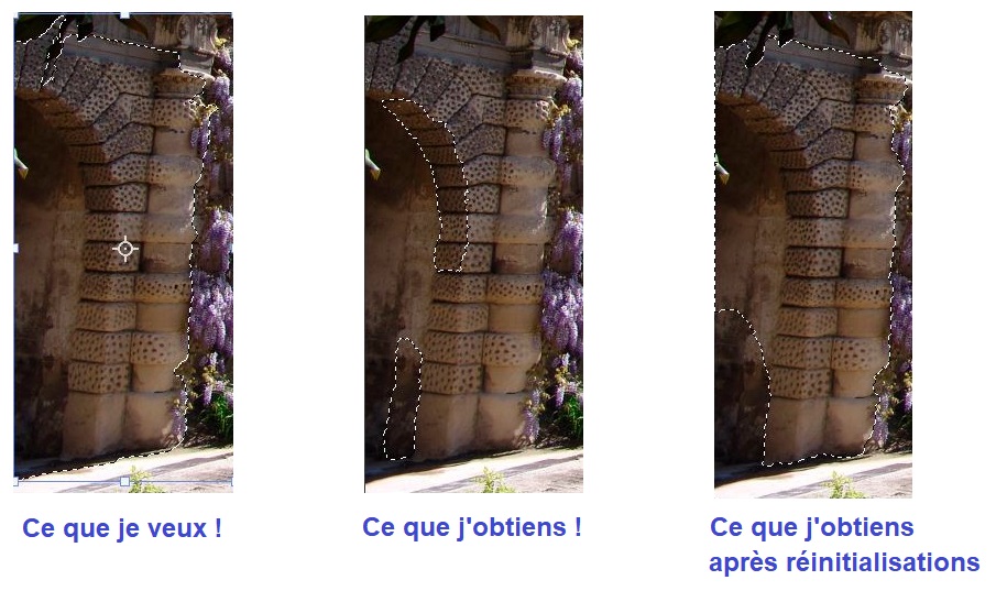 Lasso polygonal et outil de sélection d'objet - Adobe Community - 15290554