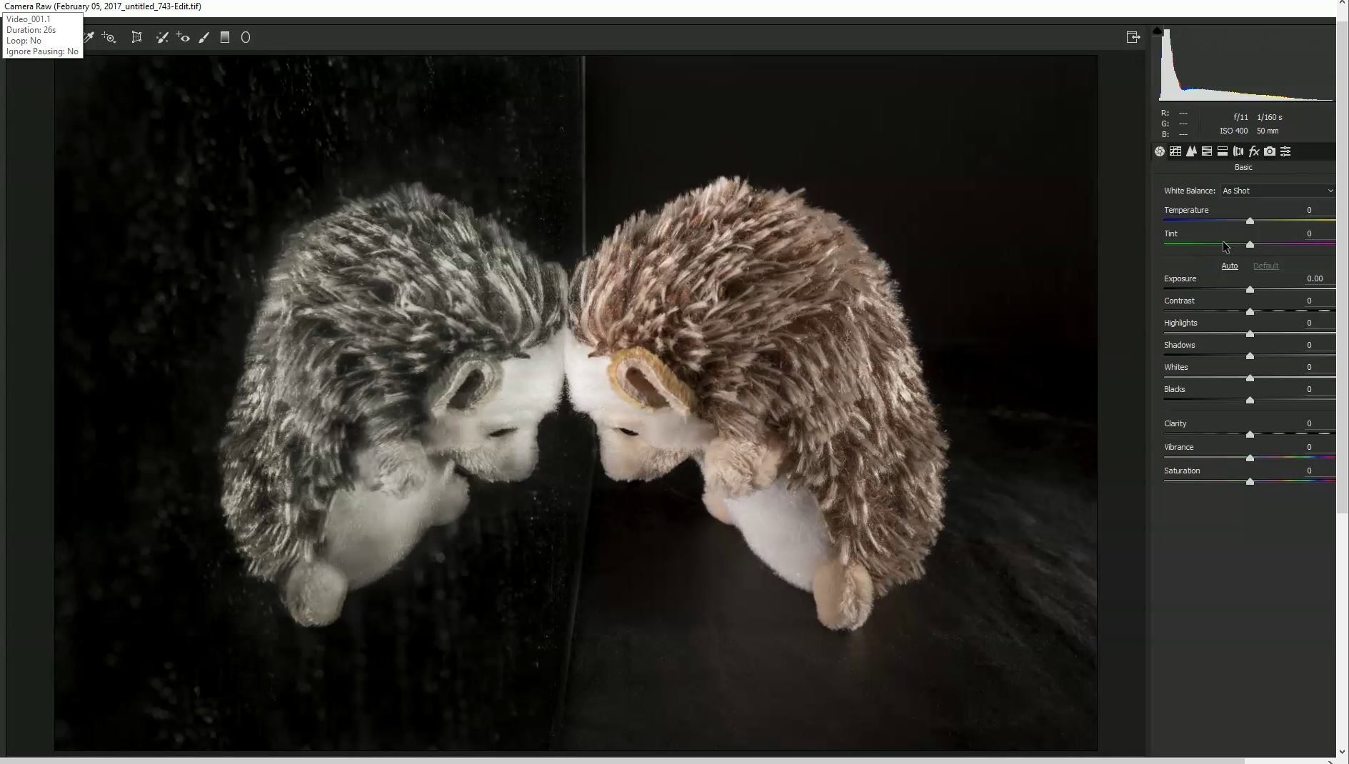 Solved Camera Raw Issue Adobe Product Community 8976345