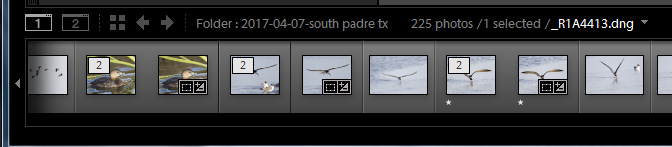 Image processing options in the bottom panel - Adobe Community - 9038764
