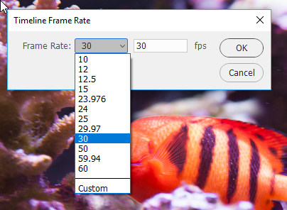 Time of Frames - Adobe Community - 9496698