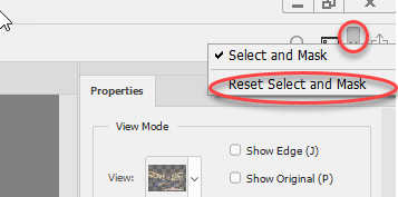 Select and Mask - Adobe Community - 9577170