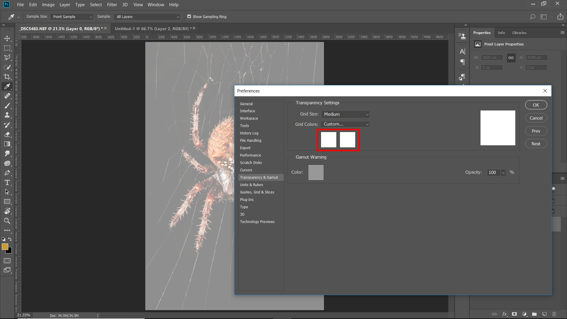 Solved: Photo transparency - Adobe Support Community - 9659978