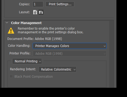 Photoshop Print Missing layers - Adobe Product Community - 9719534