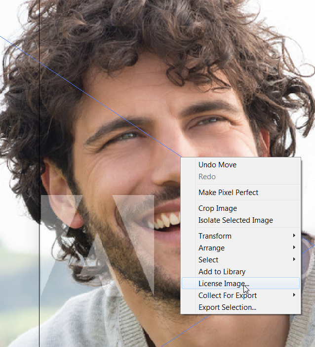 Solved: Buy Image from Adobe Stock - Adobe Product Community - 10114945