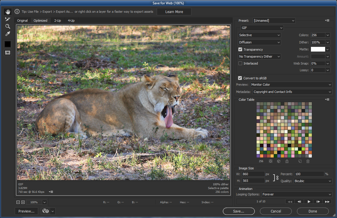Solved: Saving an animated .gif destroys animation - Adobe Community ...