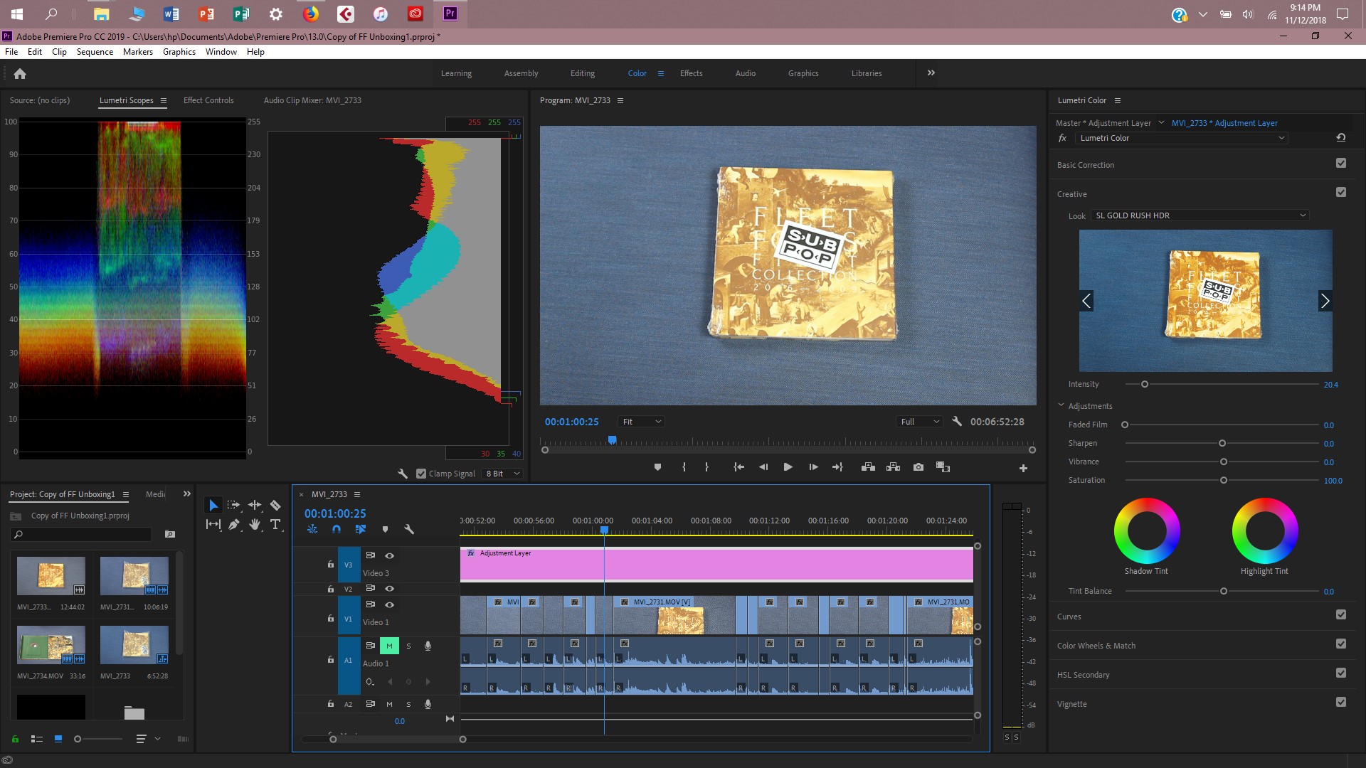 Washed Out Bug - Adobe Community - 10204652