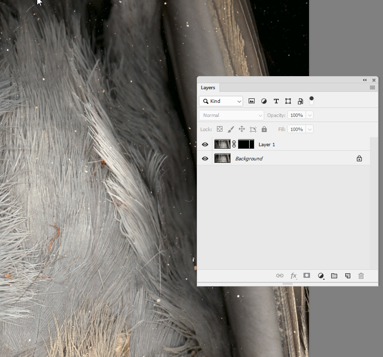 Solved: How to remove vertical translucent line caused by ... - Adobe ...