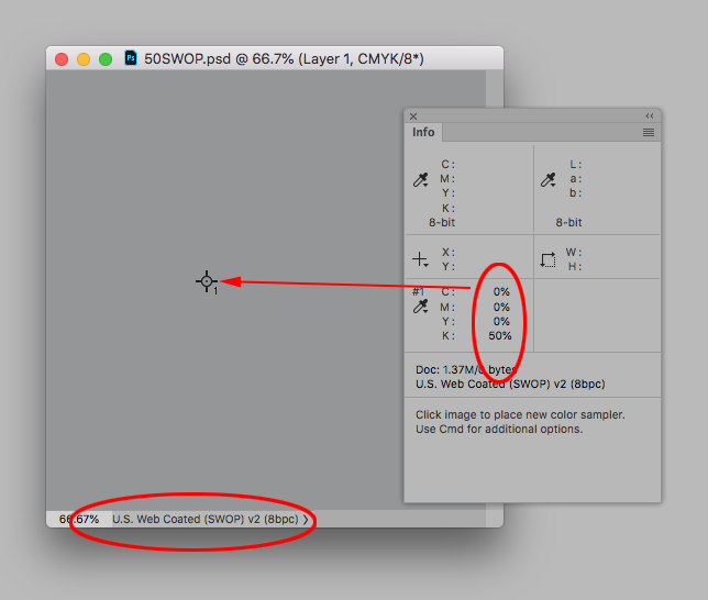 Should I check the "Embed Colour Profile" box when... - Adobe Community ...