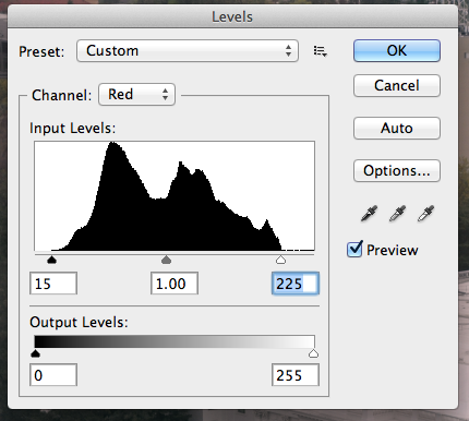 Levels | script - Adobe Product Community - 4830433