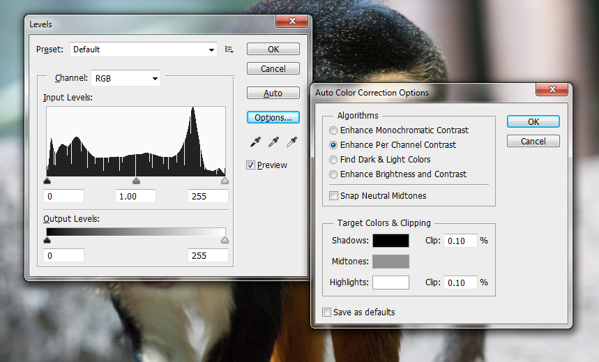 Levels | script - Adobe Product Community - 4830433