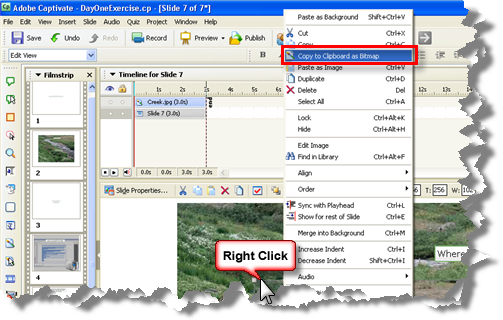 Crop tool in Captivate 3? - Adobe Product Community - 1823331