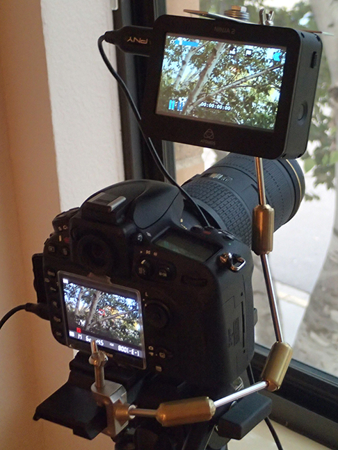 Re: Pro Res vs h.264 - Adobe Product Community - 5564845