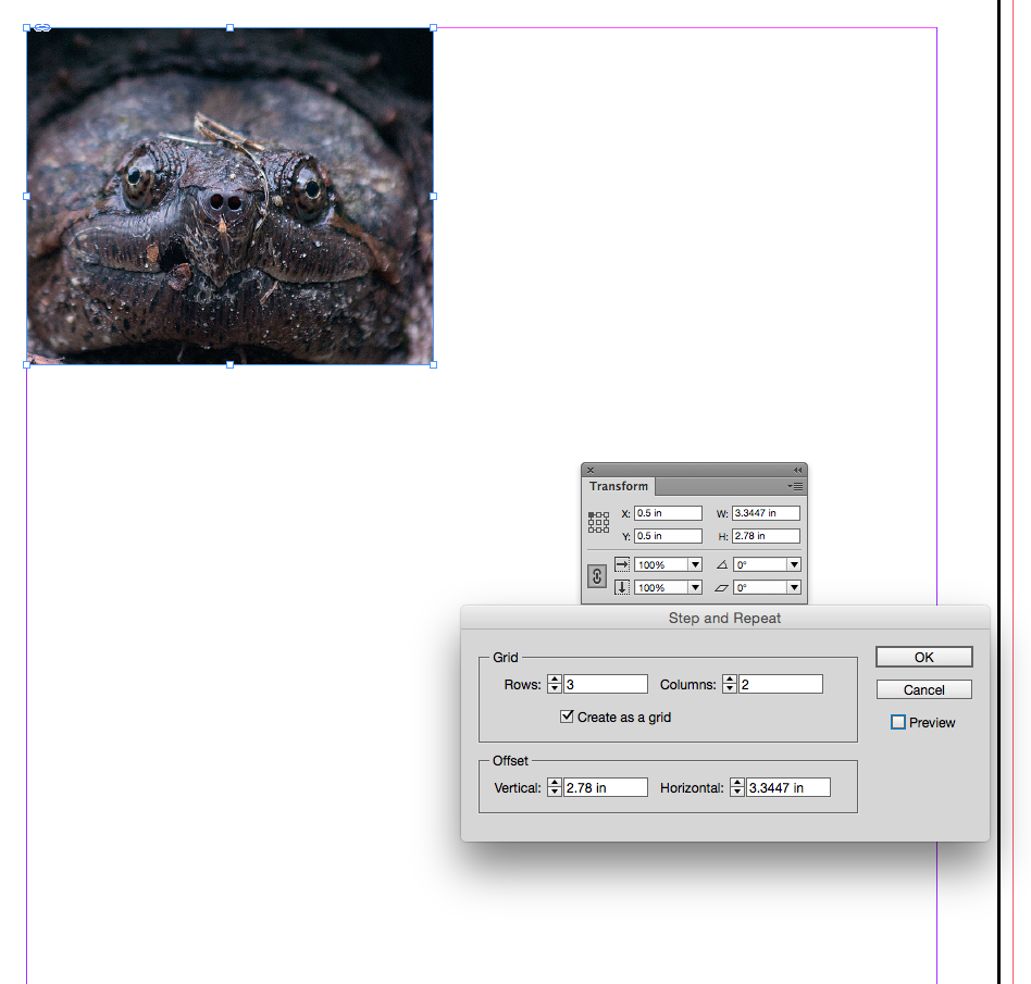 Solved: Tile an image in InDesign? - Adobe Community - 2447340
