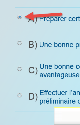 Customize question slide (Multiple Choice) radio b... - Adobe Community ...