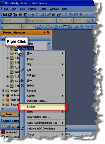 flash help project files - Adobe Community - 2002689