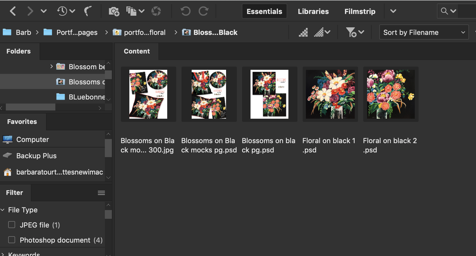 Bridge doesn't recognize PSD files on external dri... - Adobe Community ...