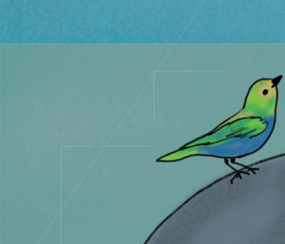 Faint lines around images in exported pdf - Adobe Product Community ...