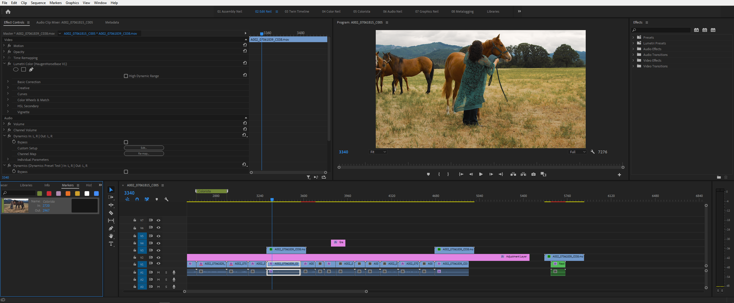 Show us your edit workspace layout - Adobe Community - 11198322
