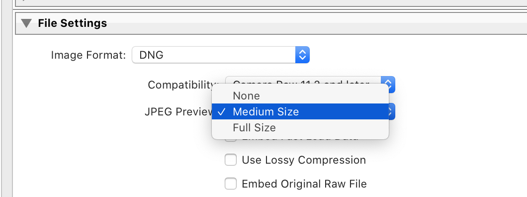 Edits not saving when exporting DNG files - Adobe Product Community ...