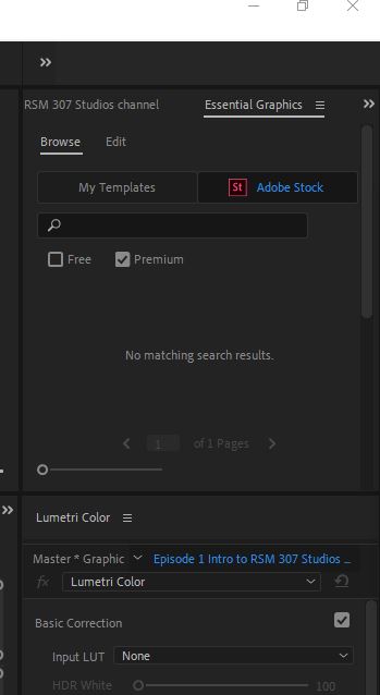 Adobe Stock not showing up in Essential Graphics p... - Adobe Product ...