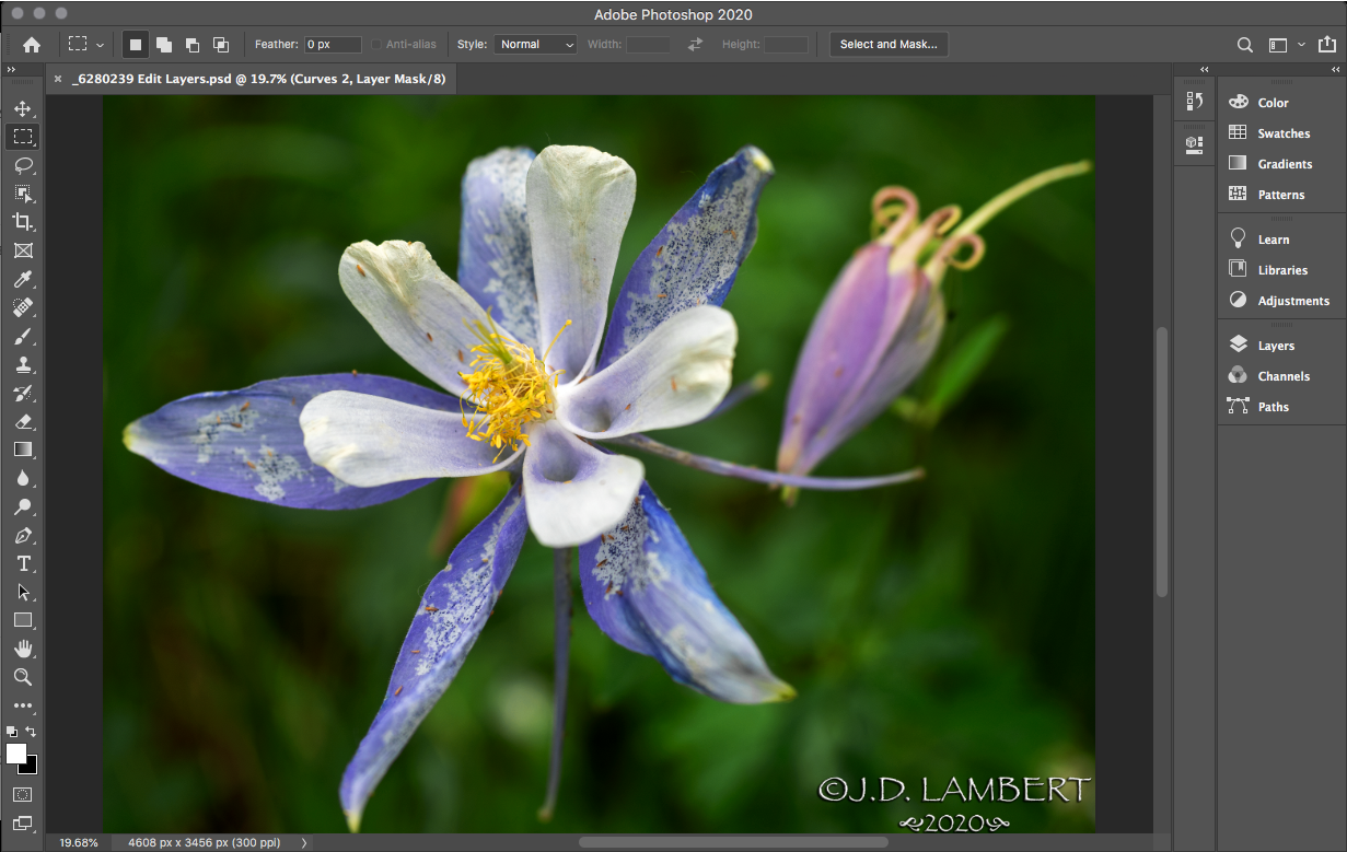 Images pixelated/straight edges wavy - Adobe Product Community - 11233122