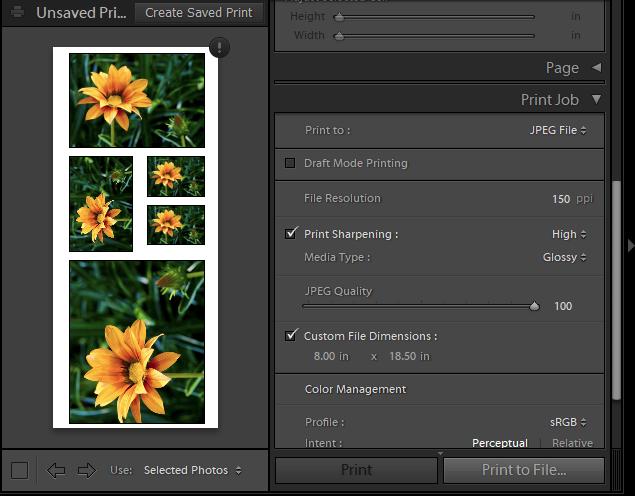 Set paper size for Picture Package - Adobe Community - 10662834