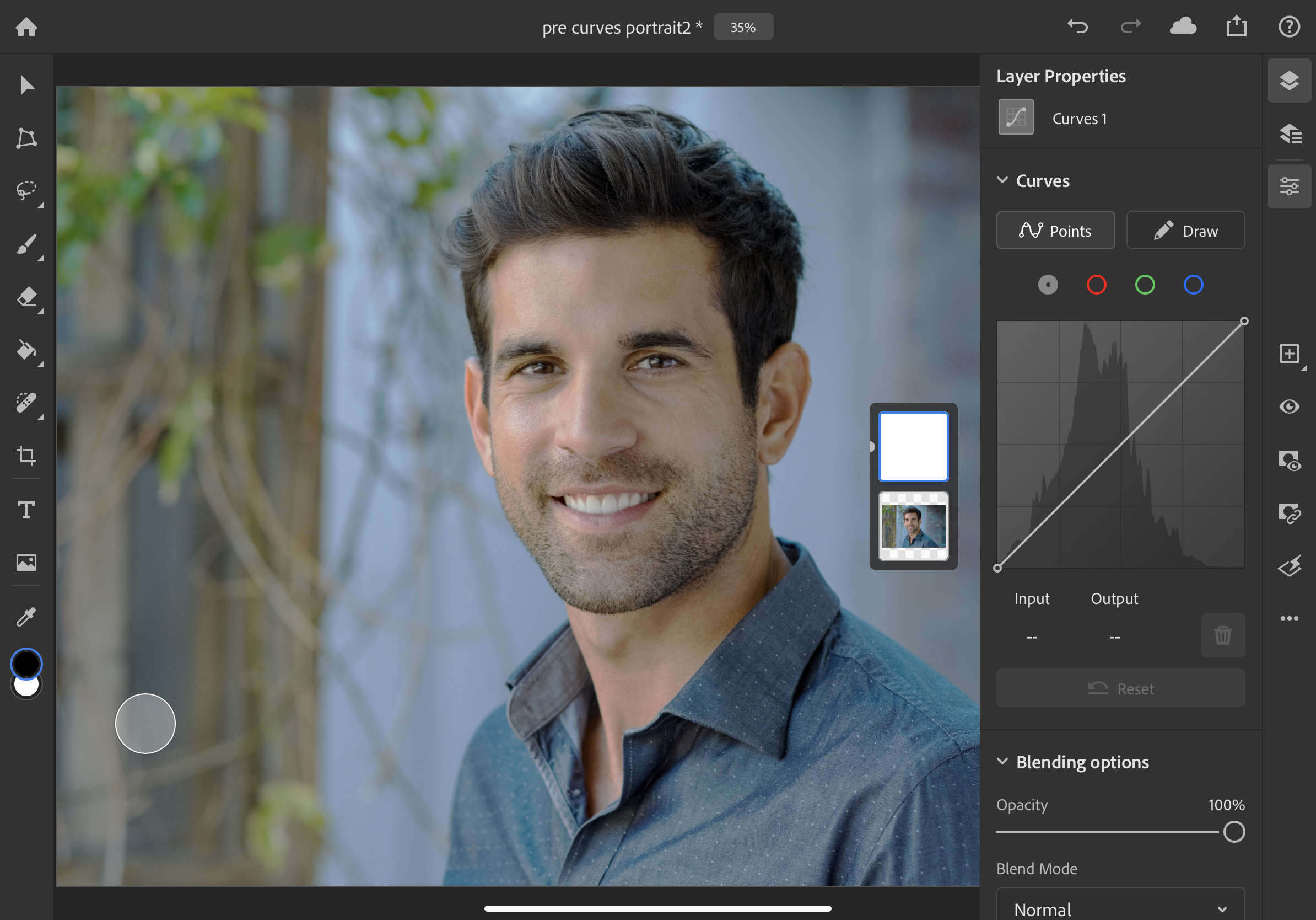 Photoshop on the iPad: Curves adjustment layers - Adobe Product ...