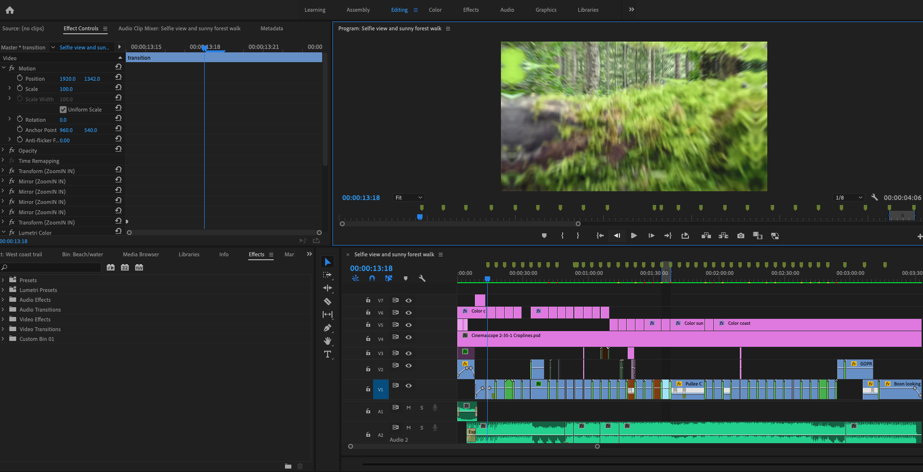 Cinematic croplines - Adobe Product Community - 10668725