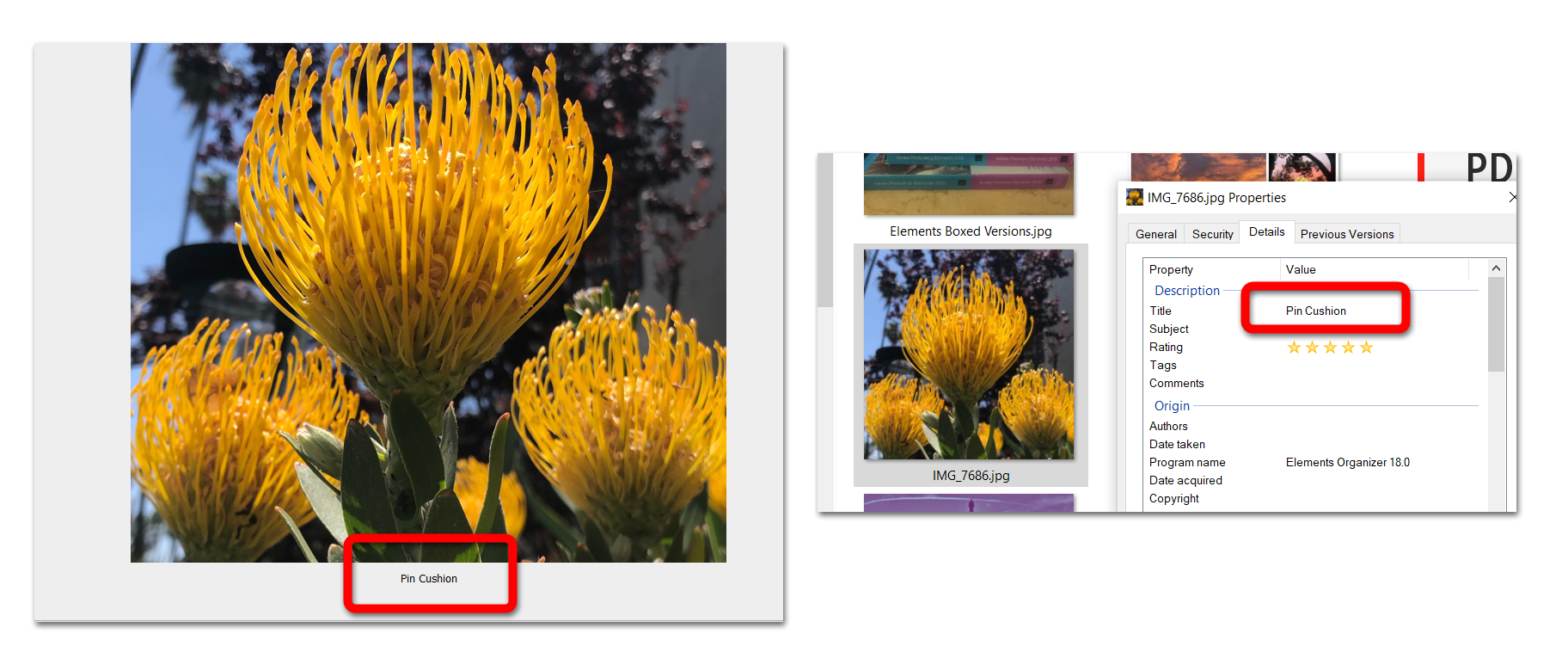 export albums - Adobe Product Community - 11299182