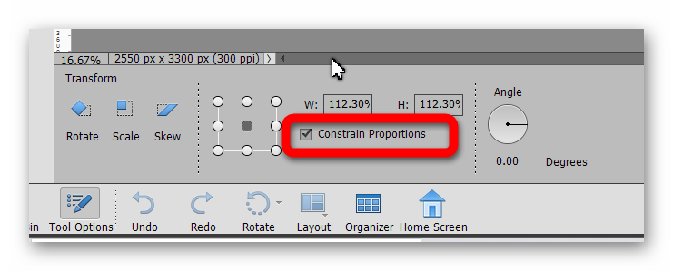 Placing images in new blank file - PSE 2020 - Adobe Product Community ...