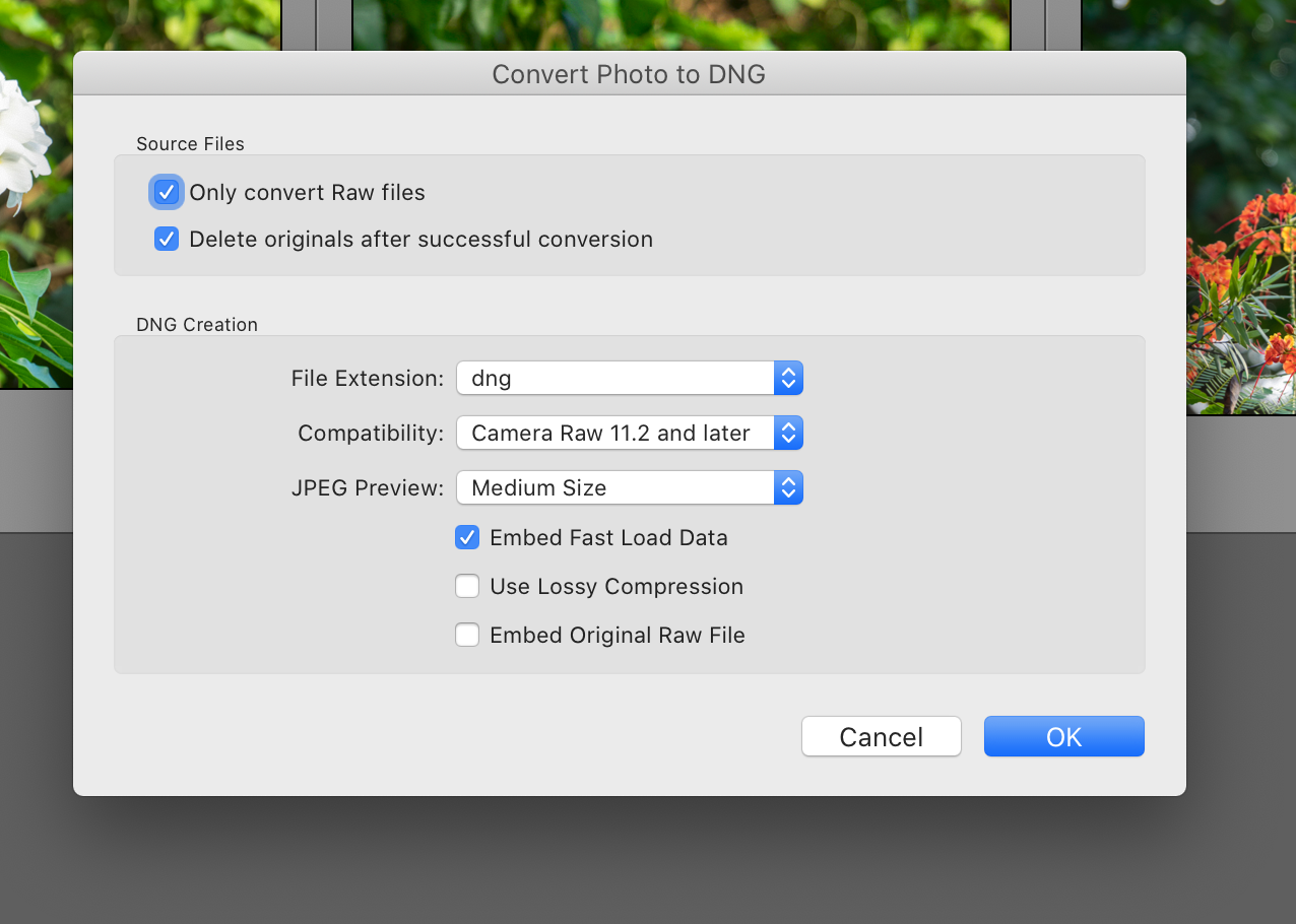 Lightroom Crashing and asking for Login after rest... - Adobe Product ...