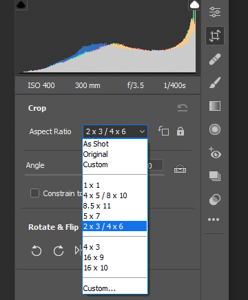 Can't save desired aspect ratio as default in Came... - Adobe Product ...