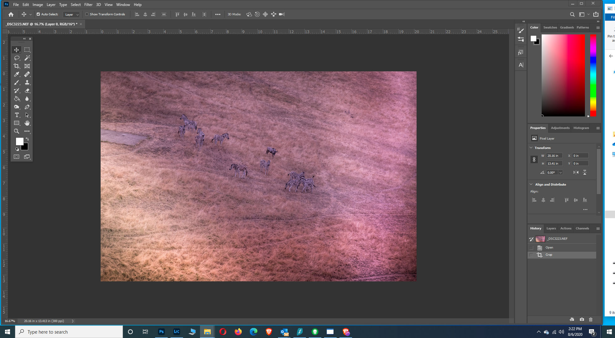 Solved: color changes in raw files - Adobe Community - 11342655