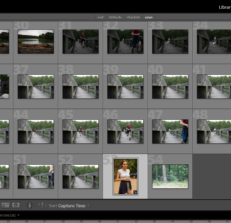 problems - fonts and display - Adobe Community - 11361961