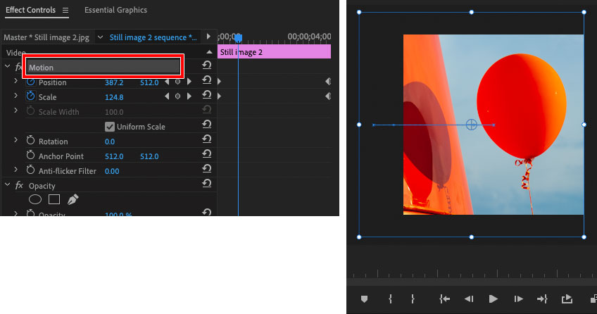 Solved: Zooming and panning within a fixed-size frame - Adobe Product ...