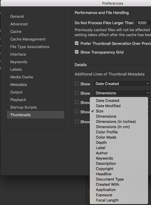Solved: How to show additional metadata in content panel - Adobe Product Community - 10683082