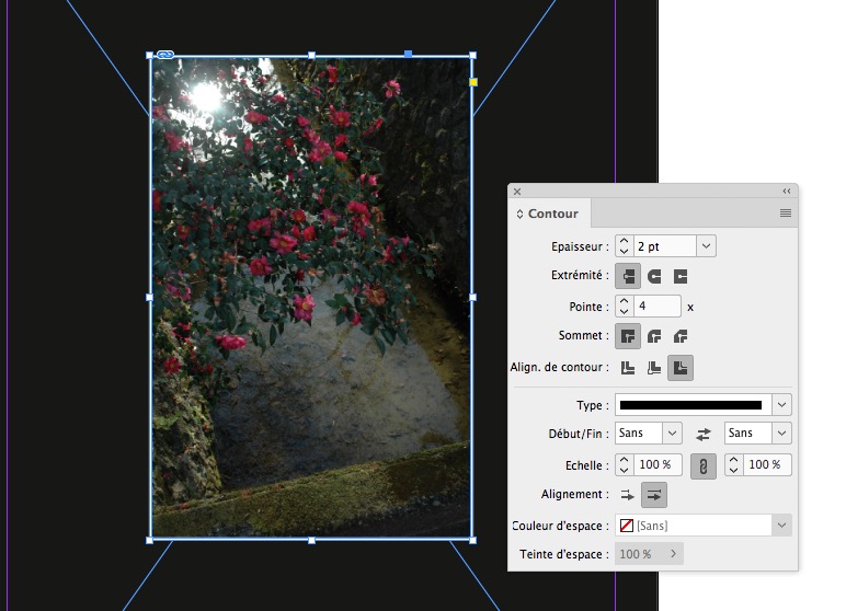 Solved: Fixing incorrect borders on existing images - Adobe Support ...