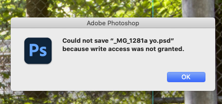 Write access - Adobe Community - 11467366