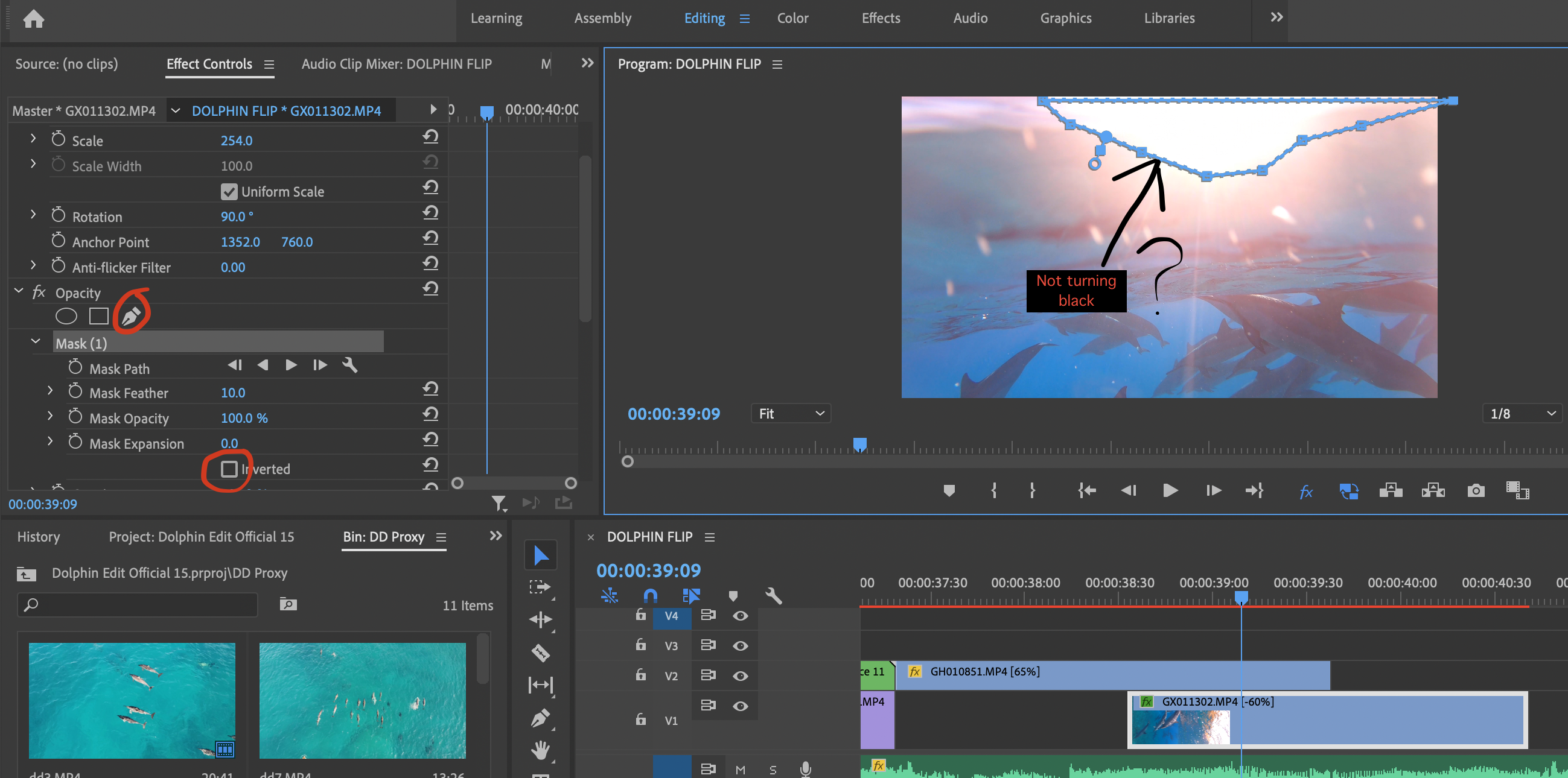 Masking tool isn't working - Adobe Community - 11482855