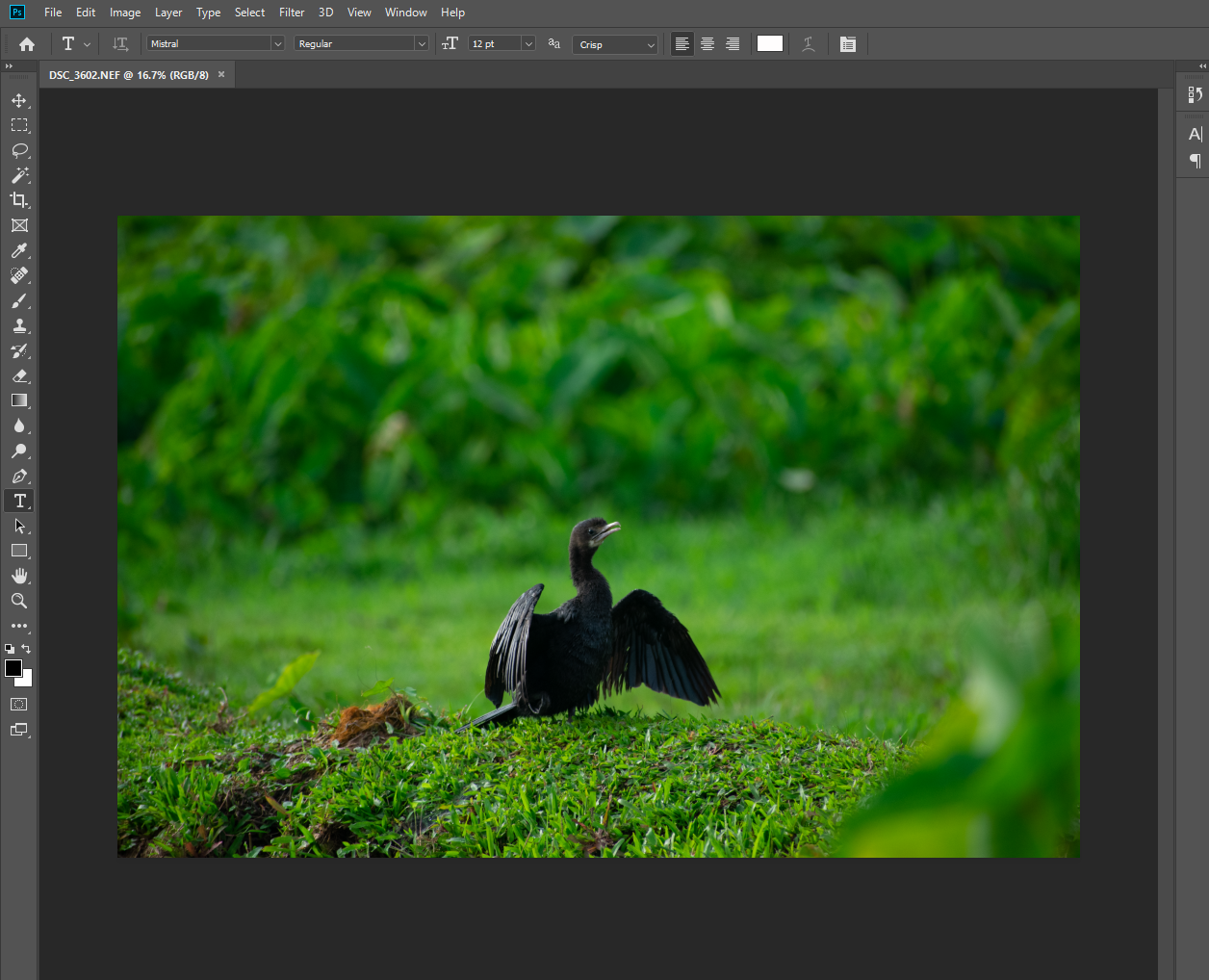 camera raw files - oversaturation problem - Adobe Product Community ...