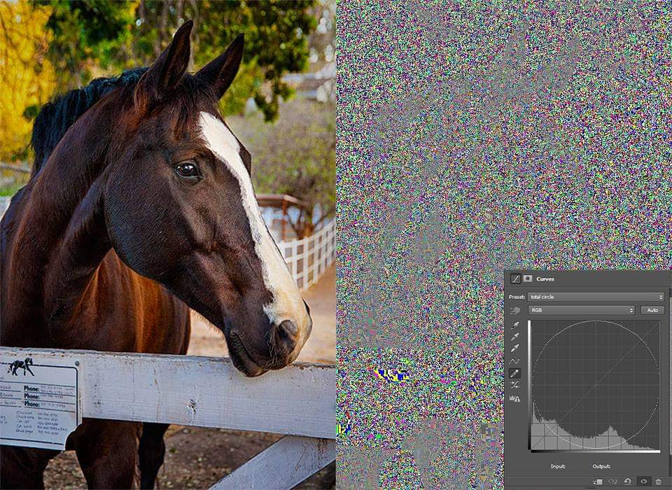 Photoshop curve with more than 16 points? - Adobe Community - 11513600