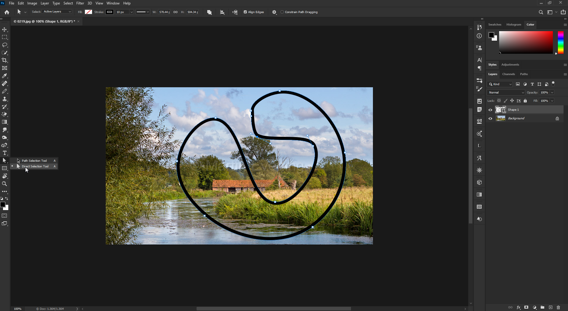 Need help using vector path - Adobe Community - 11514532