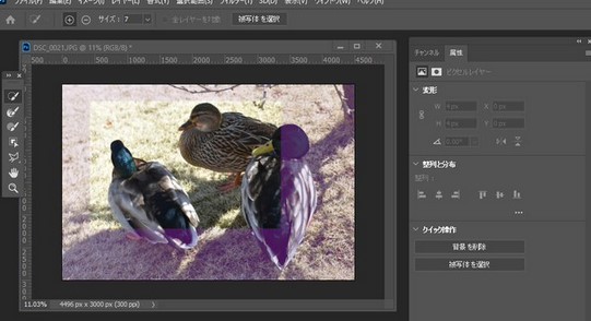 解決済み: 「選択とマスク」実行時字の「属性」ウィンドウが変 - Adobe Product Community - 11516106