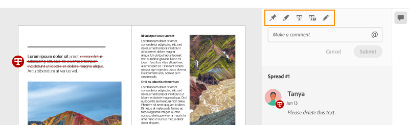Solved: InDesign Share for Review - FAQ - Adobe Community - 11210839