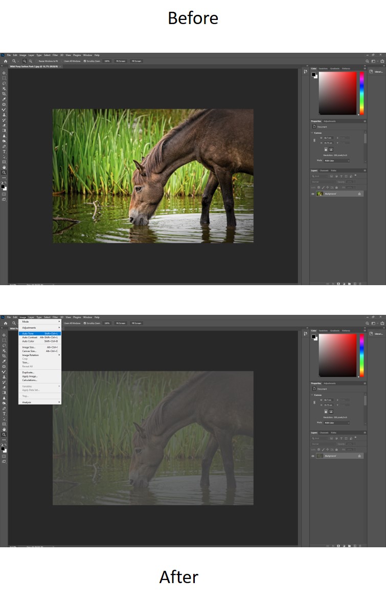 Photoshop Auto Tone, Auto Contrast & Auto Colour f... - Adobe Community ...